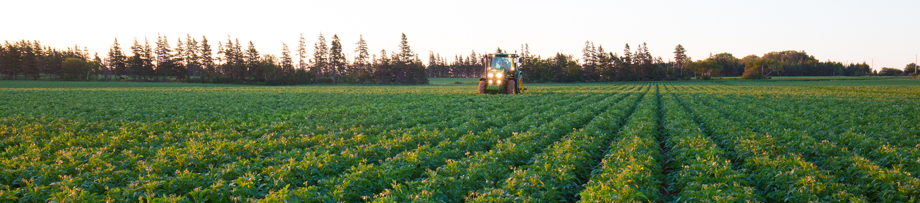 Frequently Asked Questions - Cavendish Farms